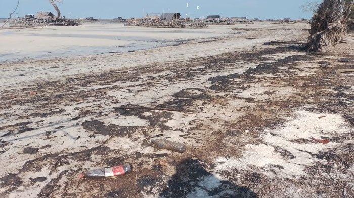 Lumpur Minyak Hitam Kembali Cemari Pantai di Bintan Buat Nelayan Tak Nyaman - Tribunbatam.id