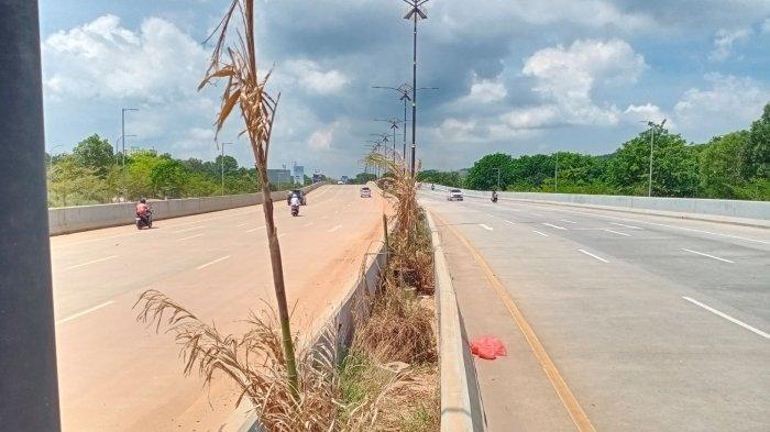 KERING Tak Terurus, Kondisi Tanaman di Area Fly Over Laluan Madani ...