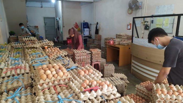 HARGA Telur Ayam di Batam Rp 56 Ribu per Papan, Warga Berharap Ada Pasar Murah - Tribunbatam.id