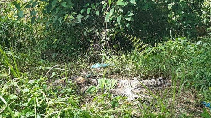 BREAKING NEWS - Warga Temukan Kerangka di Hutan Dapur 12 Batam ...