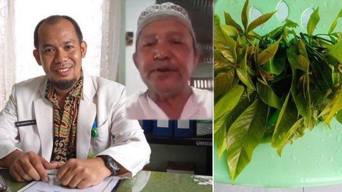 VIRAL Kakek Ditemui Sosok Dalam Mimpi Sebut Daun Laban Bisa Bunuh Covid ...