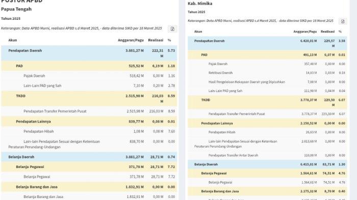 Daftar Lengkap APBD 2025 Kabupaten/Kota se-Provinsi Papua Tengah, Mimika 6,42 Triliun ...