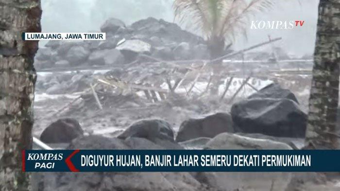 Banjir Lahar Semeru Rusak Jembatan Darurat, Pelajar Berjuang Keras Demi Sekolah - Tribunbatam.id