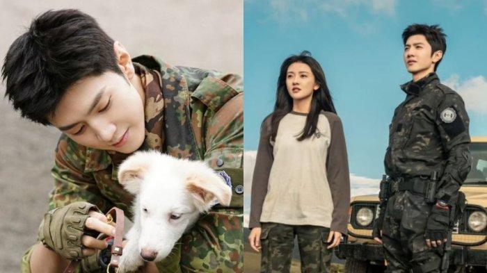 Daftar 11 Drama China Dibintangi Chen Zhe Yuan, Aktor Pemeran Li Zan di The White Olive Tree ...