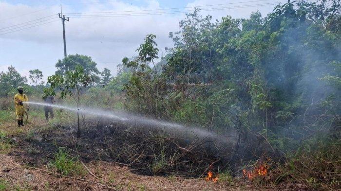 Viral di Bintan Video Kebakaran Lahan di Desa Sebong Pereh, Warga ...