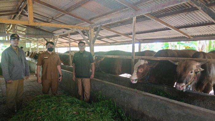 DKPP Bintan Pastikan Stok Hewan Kurban di Bintan Cukup Jelang Idul Adha 1446 Hijriah ...