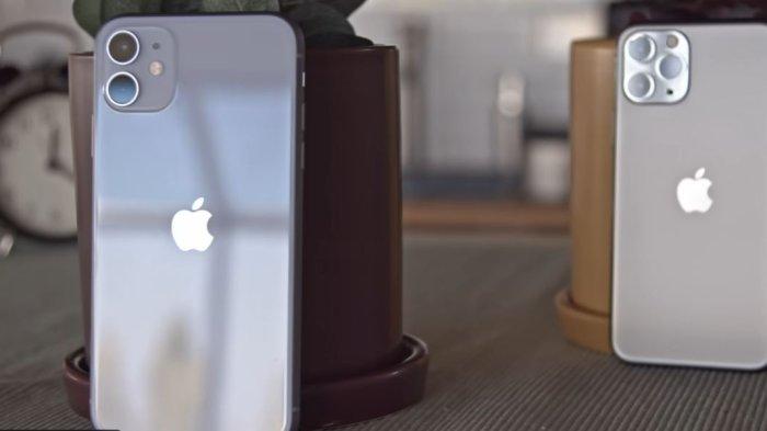 Daftar Harga HP iPhone 11, iPhone 11 Pro, dan iPhone 11 Pro Max di Januari 2025, Dijual Bekas ...