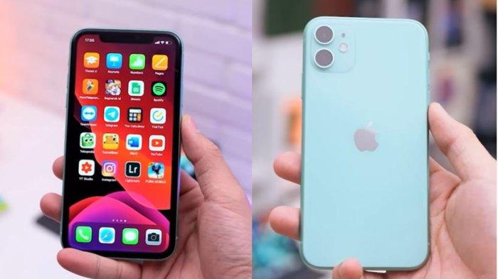Makin Menggiurkan, Harga HP iPhone 11 iBox Turun di November 2024: Apakah Worth It untuk Dibeli ...