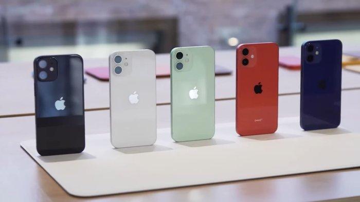 Daftar Harga HP iPhone 12 di iBox Beserta iPhone 13, iPhone 14, iPhone 15 per Januari-Februari ...