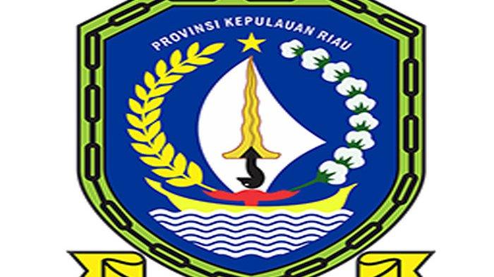 Daftar 7 PSN di Kepri Terbaru, Proyek Strategis Nasional di Batam dan ...