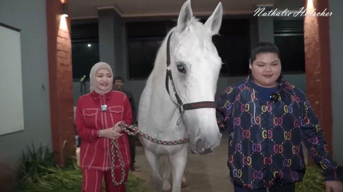 Nathalie Holscher Merinding Dapat Kuda Miliaran Rupiah dari Aleta Molly - Tribunbatam.id