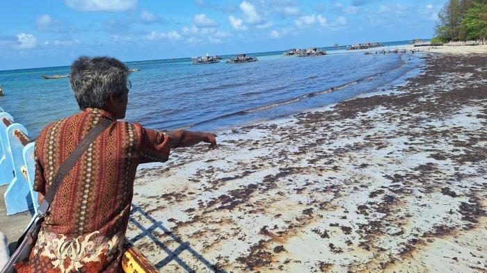 Minyak Hitam Cemari Laut Malang Rapat Bintan, Nelayan Kesal Penghasilan Berkurang - Tribunbatam.id