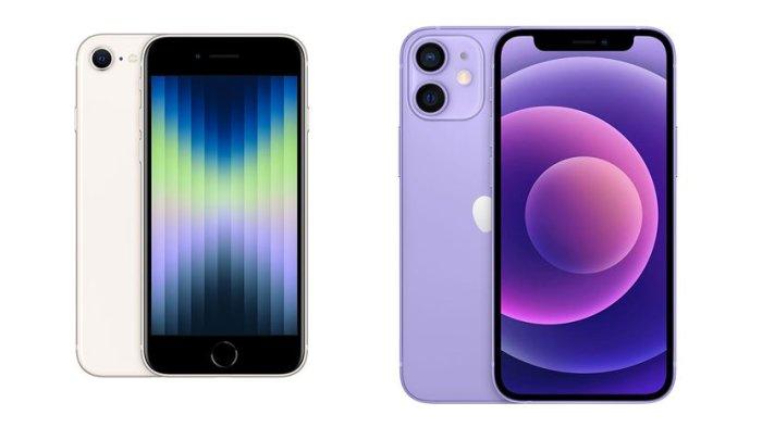 Sama-sama Dibekali Kapasitas RAM 256 GB, Cek Spesifikasi dan Harga HP iPhone SE 3 Vs iPhone 12 ...