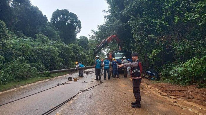 Cuaca Buruk di Batam Tumbangkan Pohon di Dua Kecamatan, Polisi Bantu ...