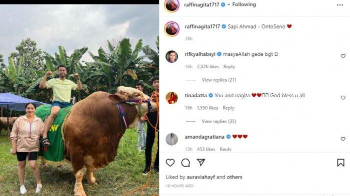 Raffi Ahmad Duduk di Atas Sapi Seberat 1,3 Ton, Berpose Bak Binaragawan - Tribunbatam.id