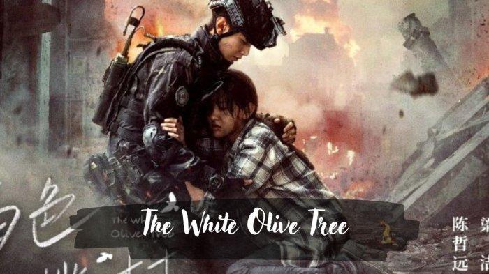 Tayang Sebentar Lagi, Ini Jadwal Rilis Drama China The White Olive Tree ...