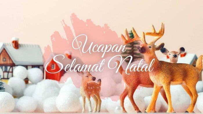 20 Ide Ucapan Selamat Natal 2024 dalam Bahasa Inggris, Sederhana, Penuh Makna dan Kekinian ...