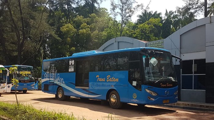 Jadwal dan Rute Bus Trans Batam Terbaru, Mulai Sekupang, Batam Centre ...