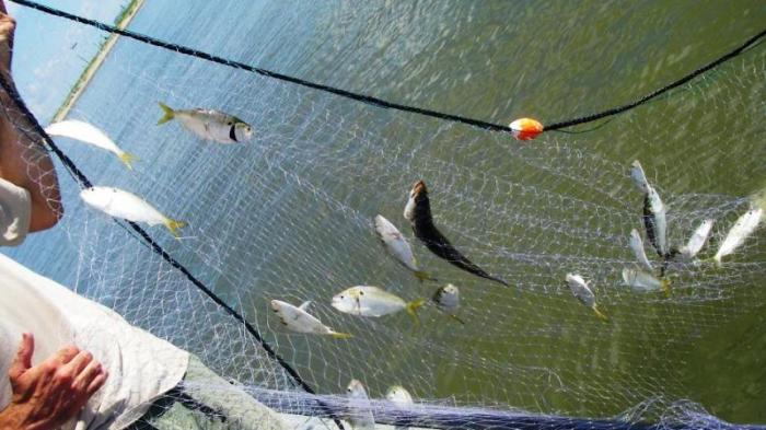 Nelayan Karimun Diajarkan Tangkap Ikan Pakai Gill Net yang Lebih ...