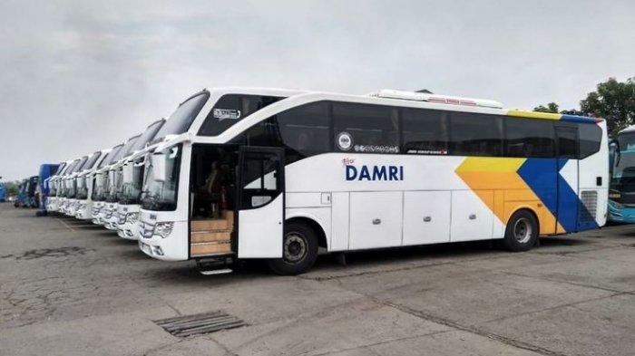 Begini Cara Mudah Beli Tiket Bus Damri Melalui Aplikasi dan Website ...