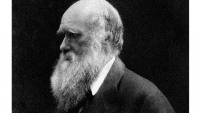 Terungkap! Inilah 5 Buku Harian Paling Menghebohkan Dunia, Satu Buku ...