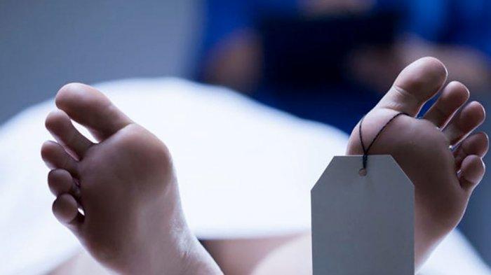 Finalis MasterChef Habisi Nyawa ART, Nur Afiyah Daeng Damin Tewas di ...