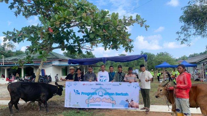 PT Angkasa Pura ll Tanjungpinang Serahkan 2 Ekor Sapi Untuk Qurban ...