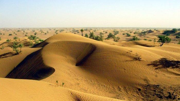 4 Desert Tours in Indonesia, No Need to Go All the Way to the Middle ...
