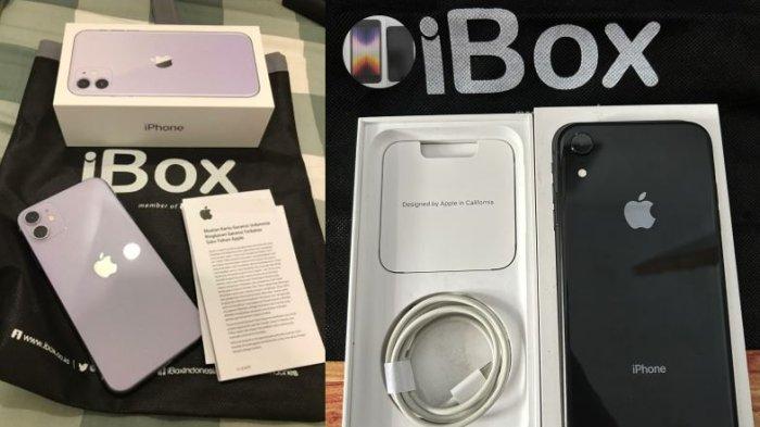Link Beli HP iPhone Second iBox Juli 2024: iPhone 11 Pro Max, iPhone XR, iPhone 13 Mini, iPhone ...