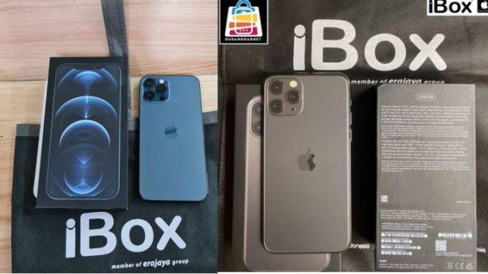 Link Beli HP iPhone Second Seri iBox 2024: iPhone 11 Pro, iPhone 12 Pro Max, iPhone SE 3, iPhone ...