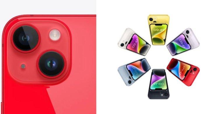 Harga HP iPhone 14 Warna Blue Kalahkan Penjualan iPhone 14 Pro Max ...