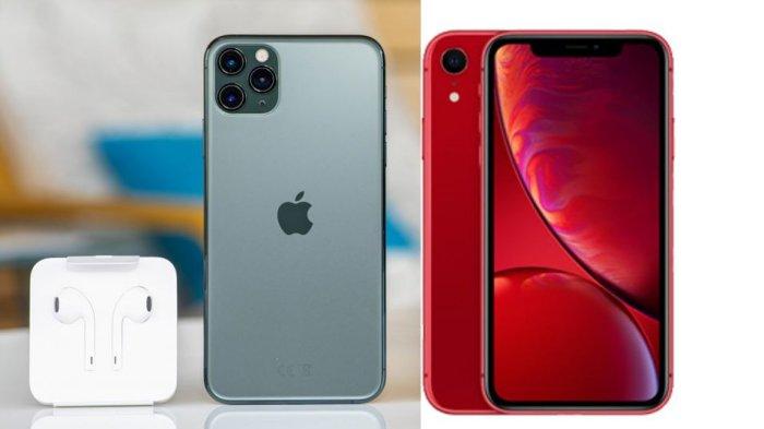 Daftar Harga HP iPhone XR dan iPhone 11 Pro Kembali Muncul di Akhir Maret hingga Awal April 2025 ...