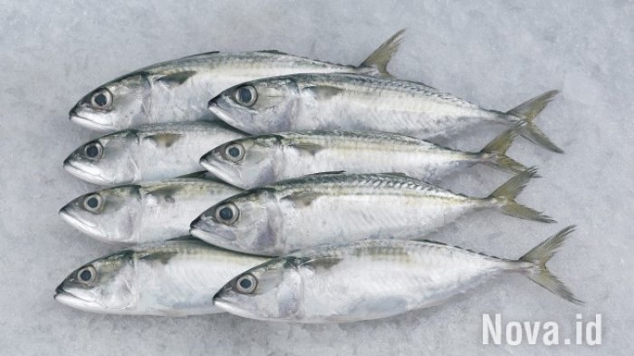 Cara Simpan Ikan Segar di Kulkas agar Awet dan Tetap Segar Dalam Waktu ...