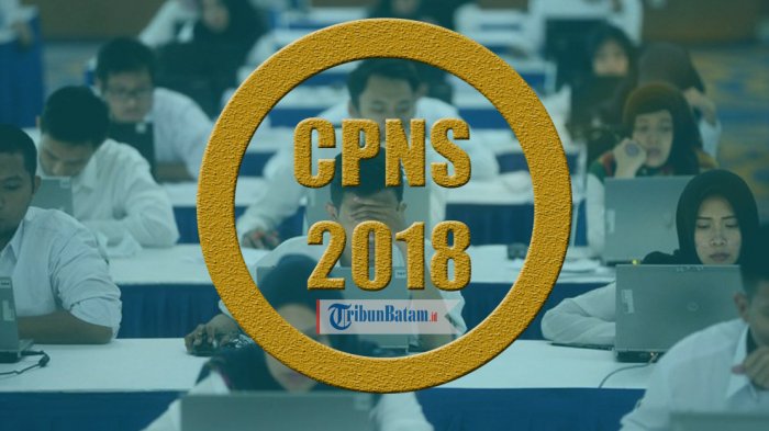 5 Hari Lagi Pendaftaran CPNS di sscn.bkn.go.id - Fokus, Perhatikan ...