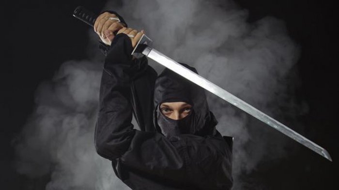 Fakta Menarik Tentang Ninja yang Jarang Diketahui. Warna Terbaik Ninja ...