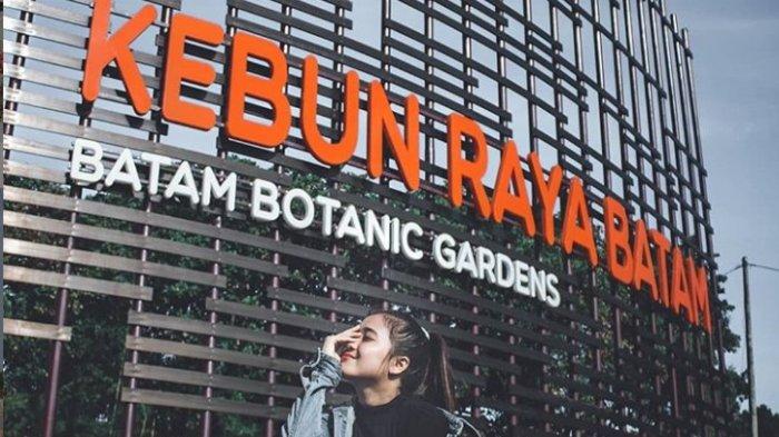 Kebun Raya Batam, Salah Satu Tempat Wisata Gratis di Batam yang ...