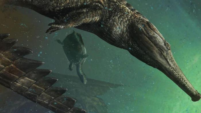 Ini Dia, Machimosauru Rex, Buaya Laut Terbesar Sepanjang Masa ...