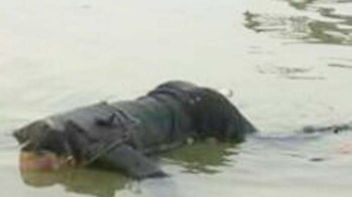 DUH! Ada Mayat Lagi Terapung di Teluk Mata Ikan, Nongsa. Begini Ciri ...