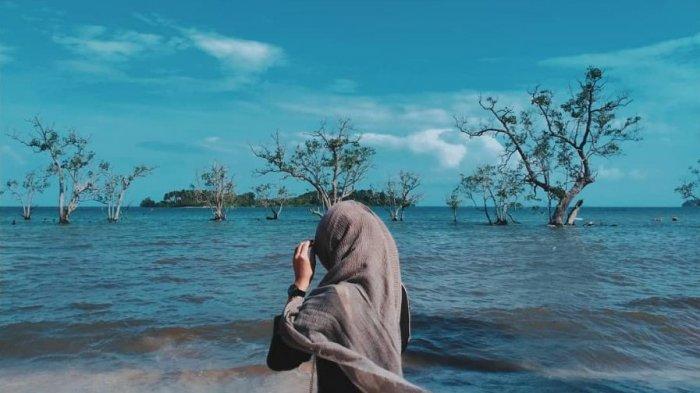 Termasuk Pantai Elyora dan Pantai Tegar Bahari, Berikut Daftar 5 Pantai ...