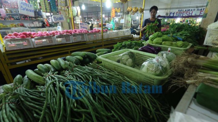Emak Emak di Pasar Botania Batam Enggak Cerewet Lagi, Harga Santan dan ...