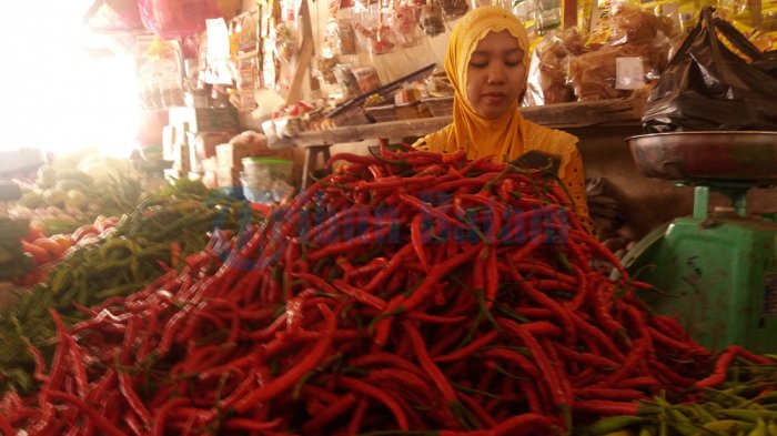 Begini Cara Simpan Cabai Agar Awet Sampai 3 Bulan - Tribunbatam.id