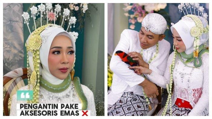 Viral Pengantin di Tulungagung Bawa Ular saat Nikah, Ternyata Alasannya Ngaku Cuma Iseng ...