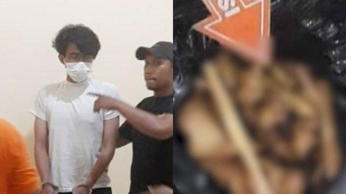 Berasal dari Keluarga Terpandang, Ini Sosok Muhammad Rafy Simpan Mayat ...