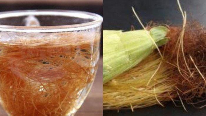 Tak Banyak yang Tahu, Air Rendaman Rambut Jagung Punya Banyak Manfaat ...