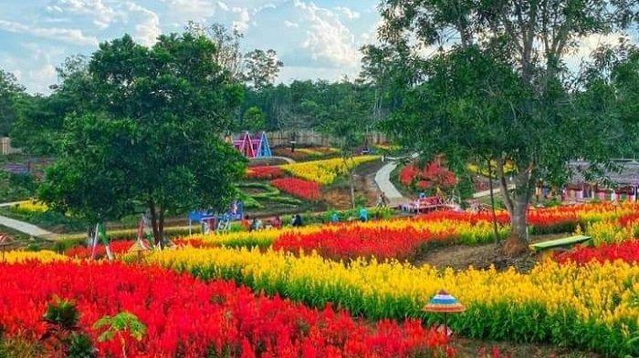 5 Rekomendasi Objek Wisata di Kabupaten Musi Rawas Utara Paling Seru ...
