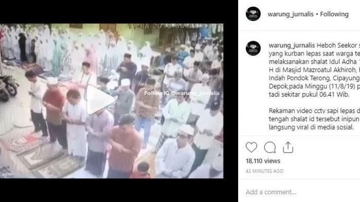 VIRAL Hewan Sapi Qurban Lepas Bubarkan Jemaah Sholat Idul Adha, Seorang Pria Jadi Sorotan ...