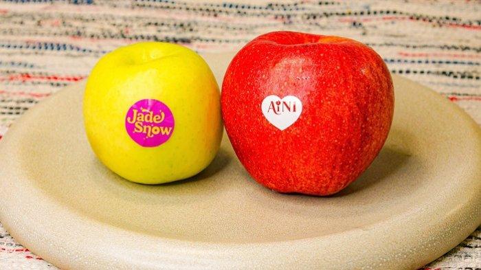 Jelang Akhir Tahun, Indofresh Hadirkan 2 Jenis Apel Premium Varietas ...