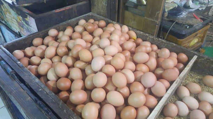 Bos Agen Telur di Pasar Tambun Mengeluh, Pengecer Kurangi Pembelian ...