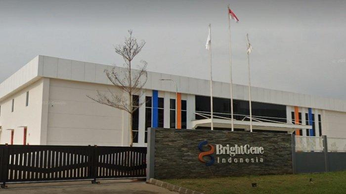 Lowongan Kerja Karawang: PT BrightGene Biomedical Indonesia Butuh ...