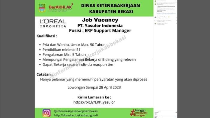 Lowongan Kerja Bekasi: PT Yasulor Indonesia Tawarkan Posisi ERP Suppor ...